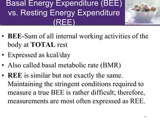 energy requirement and energy expenditure.ppt