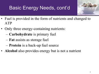 energy requirement and energy expenditure.ppt