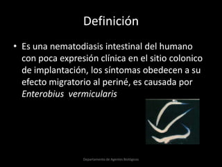 2. Enterobius vermicularis | PPTX