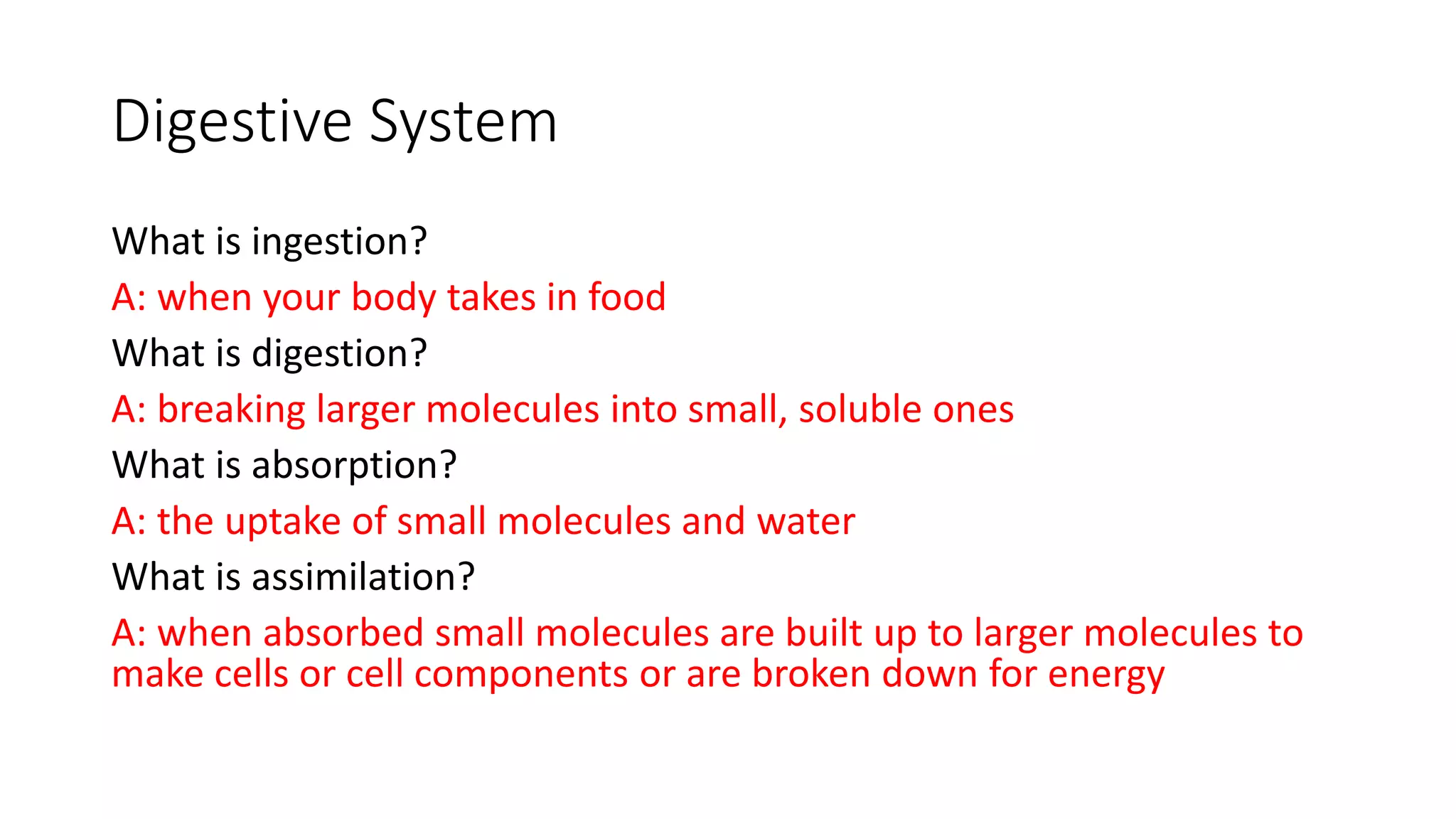 AQA Unit 1: Enzymes and the Digestive System | PPTX