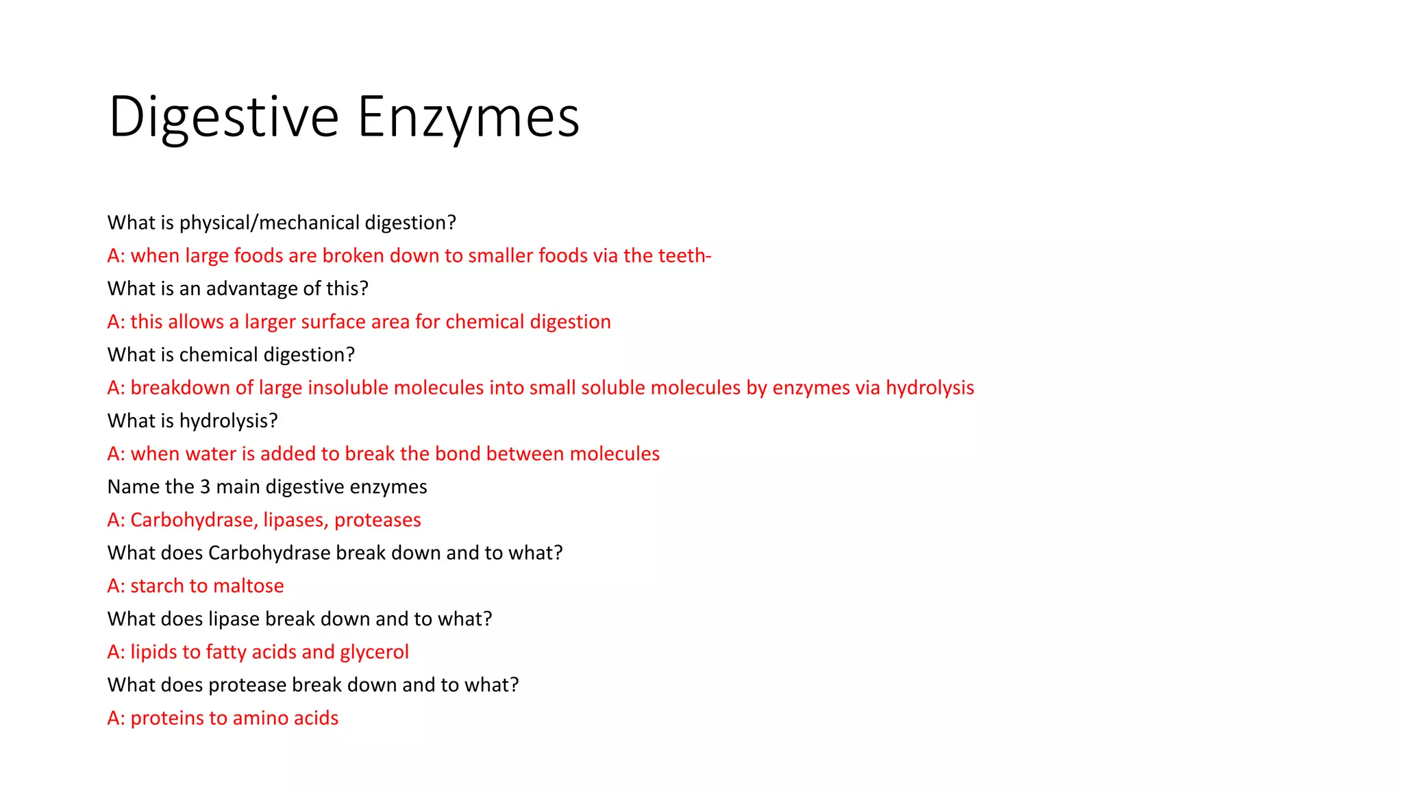 AQA Unit 1: Enzymes and the Digestive System | PPTX