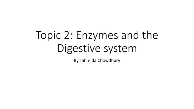 AQA Unit 1: Enzymes and the Digestive System | PPTX | Digestive ...