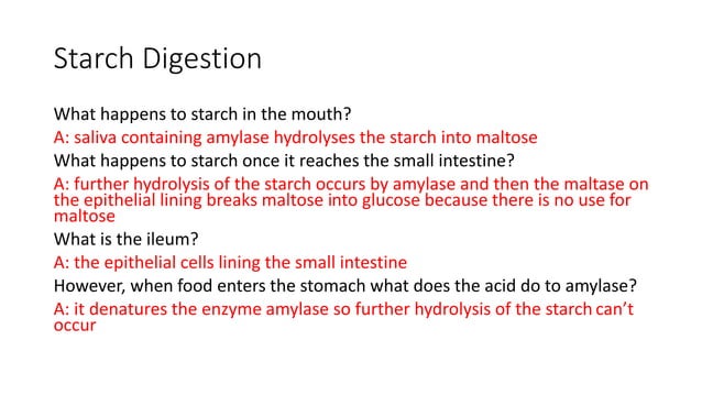 AQA Unit 1: Enzymes and the Digestive System | PPTX | Digestive ...