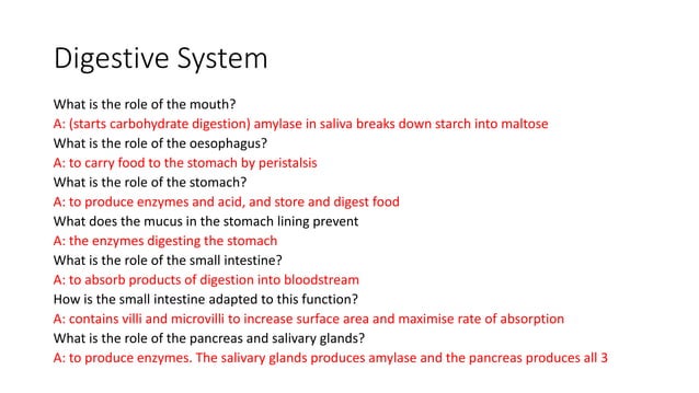 AQA Unit 1: Enzymes and the Digestive System | PPTX | Digestive ...