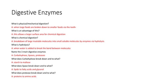 AQA Unit 1: Enzymes and the Digestive System | PPTX | Digestive ...