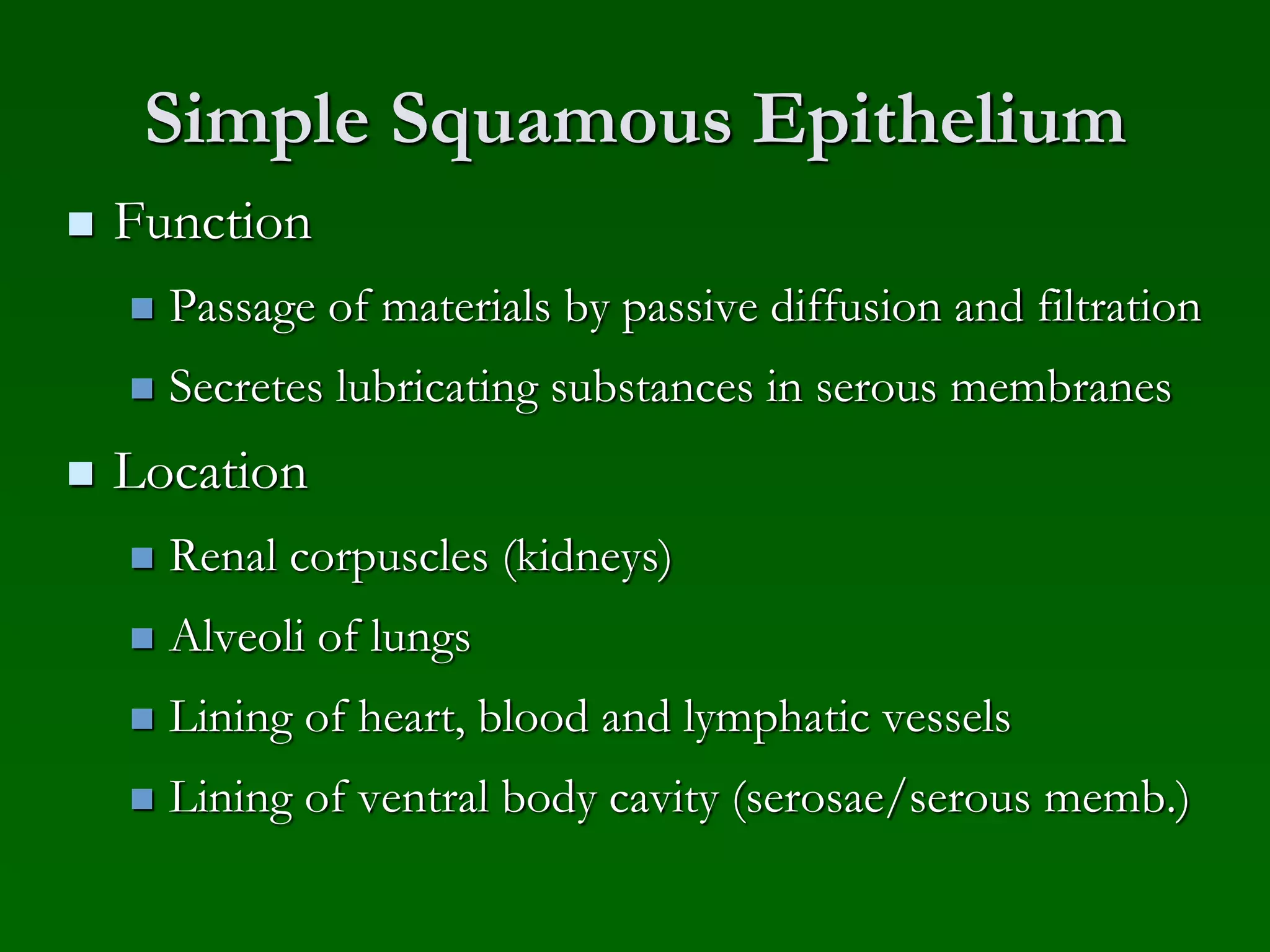 epithelium | PPT | Biological Sciences | Science