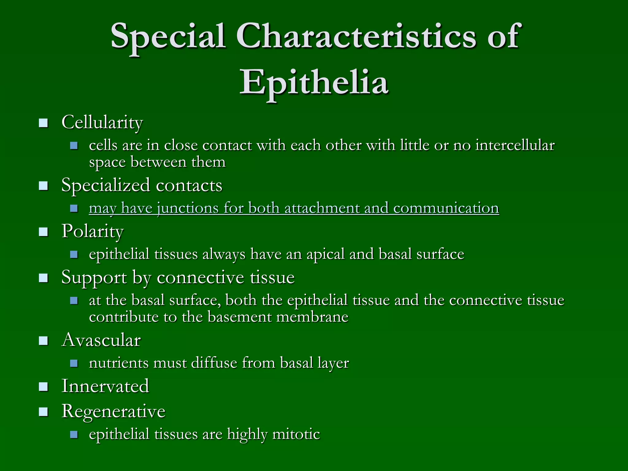 epithelium | PPT