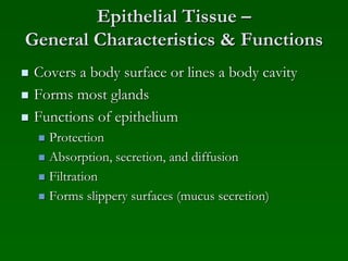 epithelium | PPT | Biological Sciences | Science