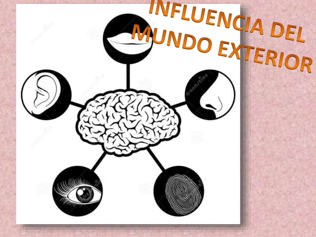 Freud- Teoría de los instintos | PPTX