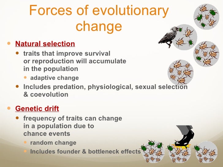 2. Evolutionary Forces