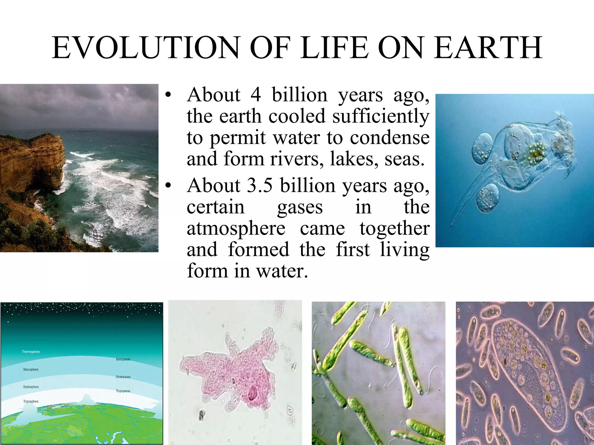 Evolution of life n earth | PPT