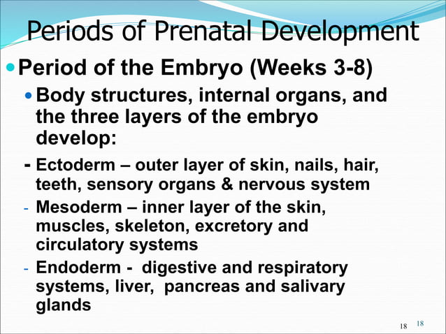 2-Factors-and-Stages-of-Development.ppt