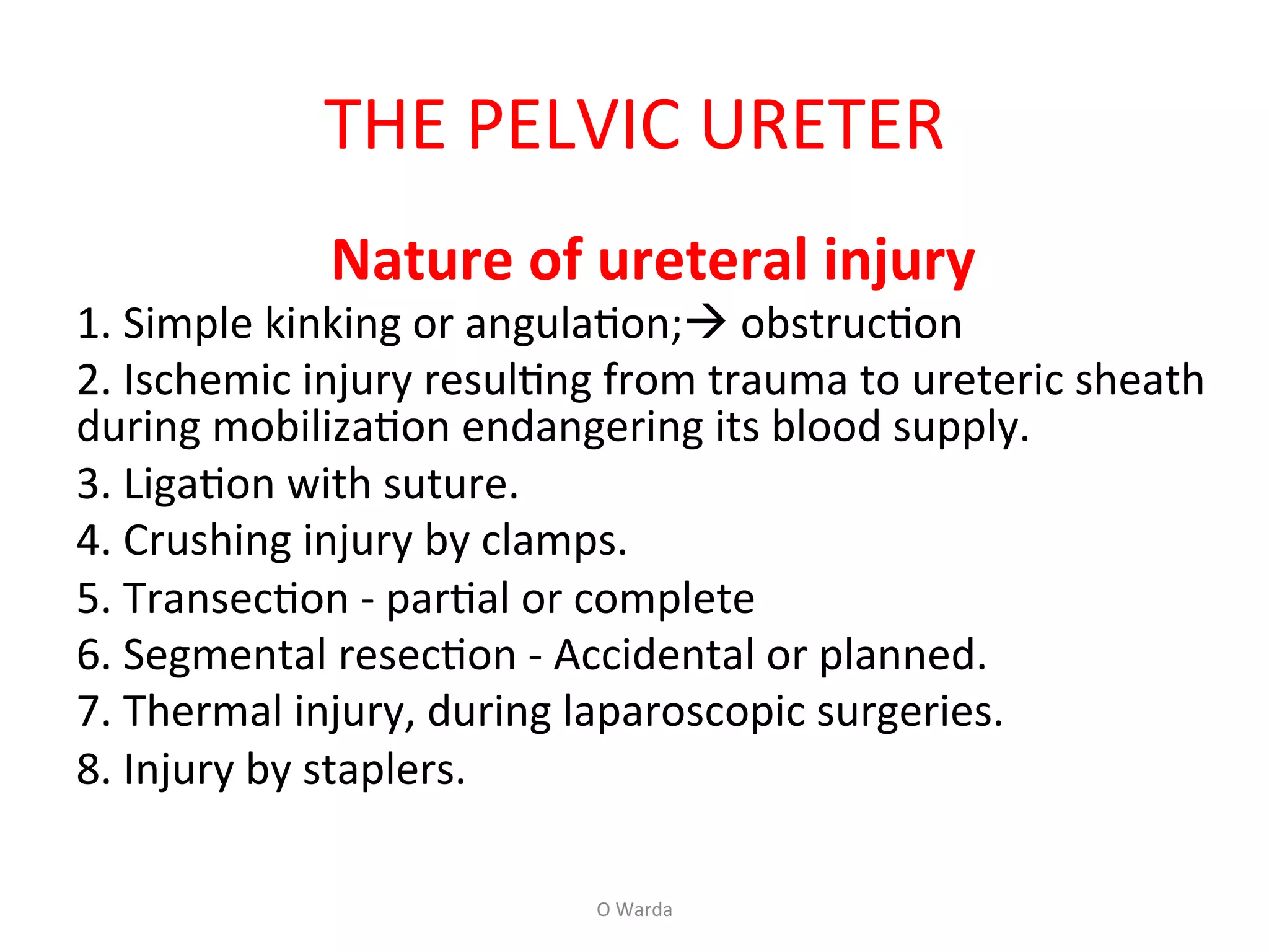2 female pelvic anatomy warda (part 2) | PDF