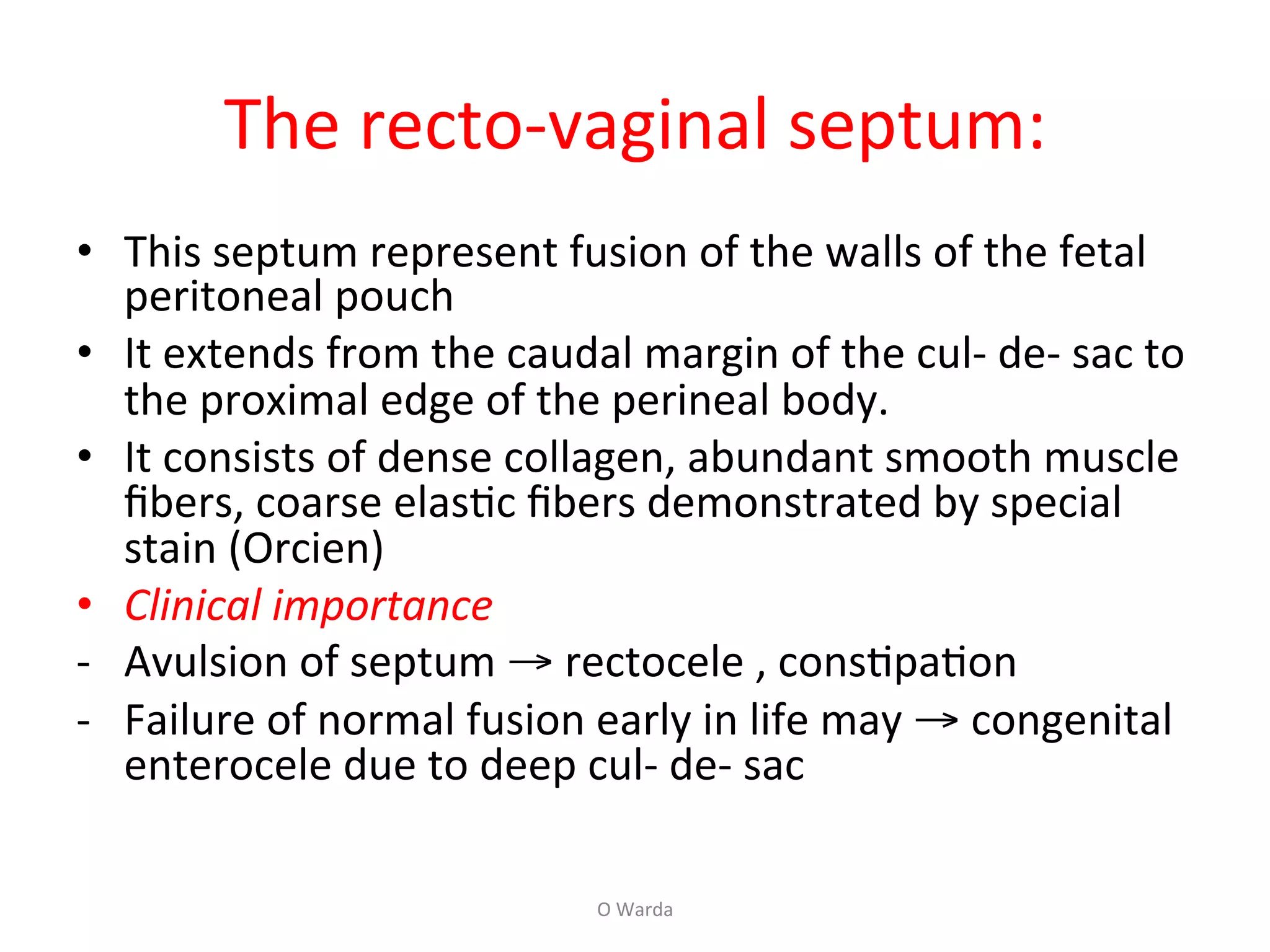 2 female pelvic anatomy warda (part 2) | PDF