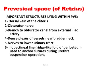 2 female pelvic anatomy warda (part 2) | PDF