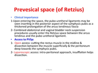 2 female pelvic anatomy warda (part 2) | PPT