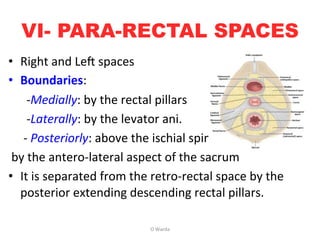 Pararectal Space Borders Clipart