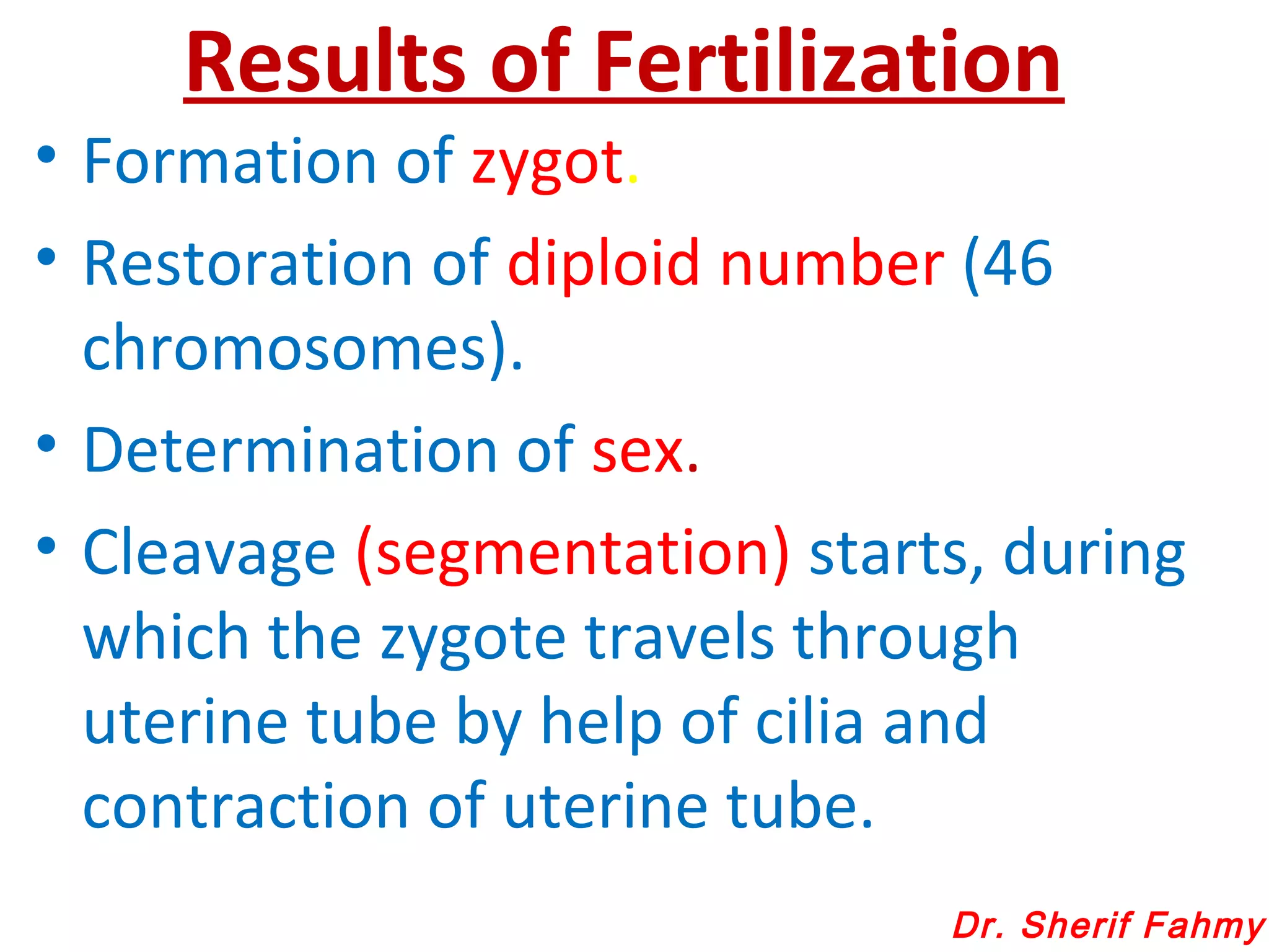 Fertilization (General Embryology) | PPS