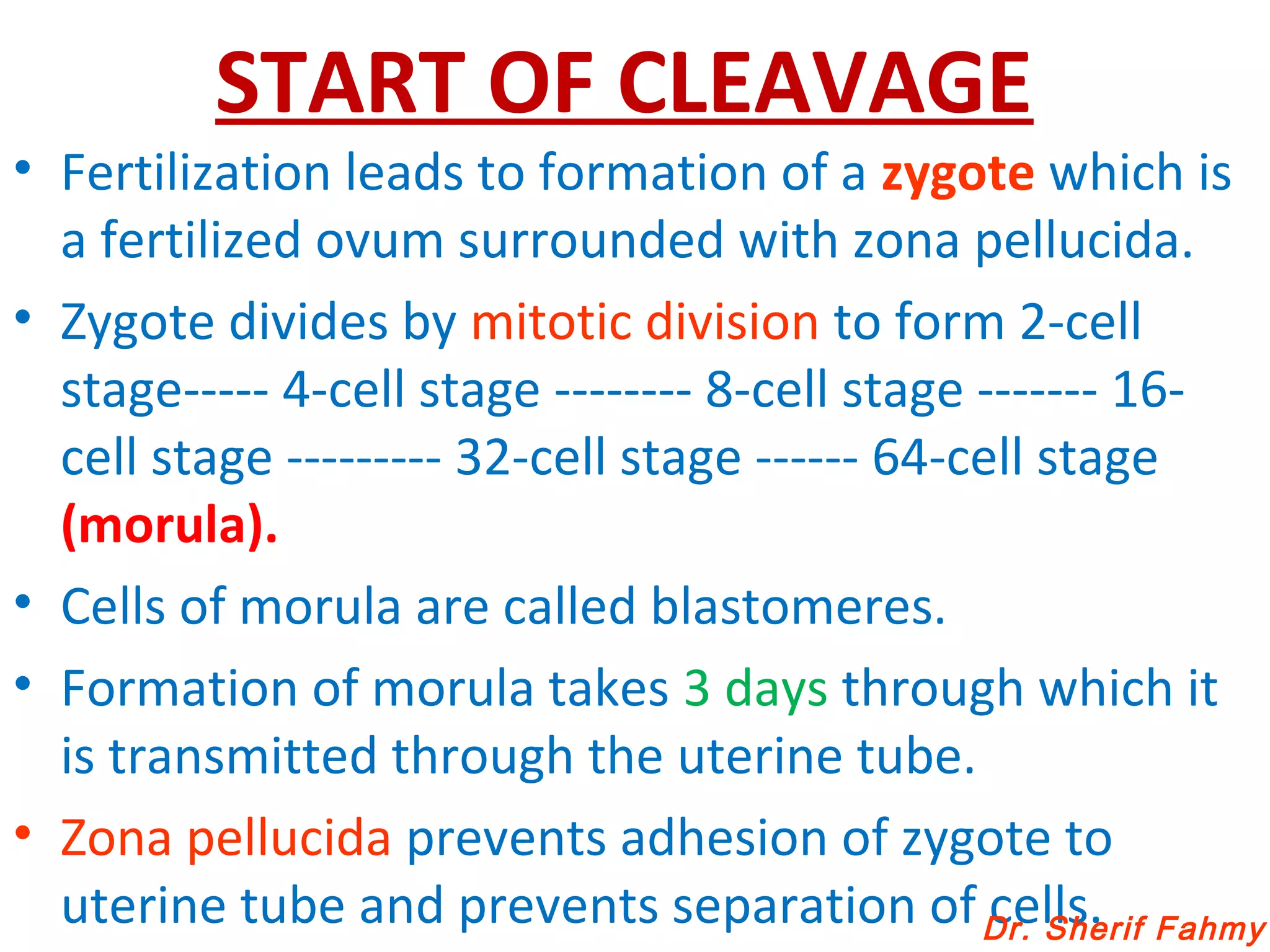 Fertilization (General Embryology) | PPS