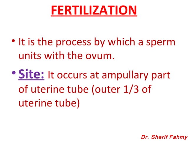 Fertilization (General Embryology) | PPS | Infertility | Reproductive ...