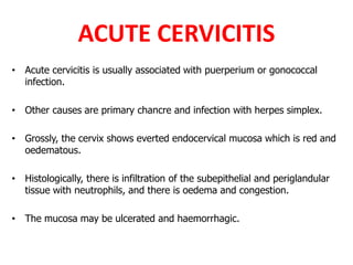 FEMALE GENITAL SYSTEM: CERVIX LESIONS | PPTX