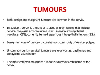 FEMALE GENITAL SYSTEM: CERVIX LESIONS | PPTX
