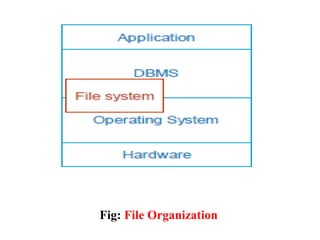 File Organization | PPTX