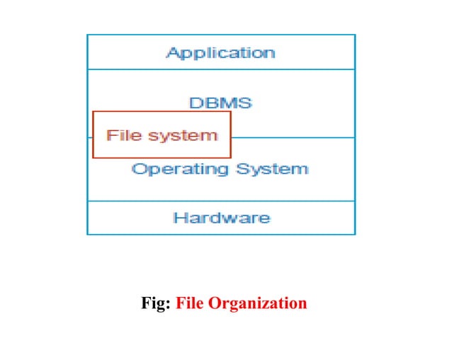 File Organization | PPTX