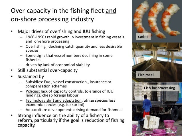 Asia-Pacific Fishery Commissionv Regional overview of capture fisheri…