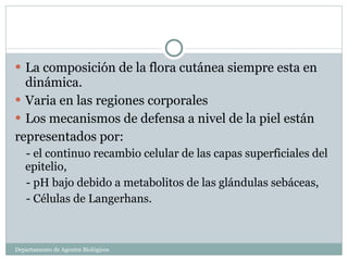 2. flora normal del cuerpo humano | PPT