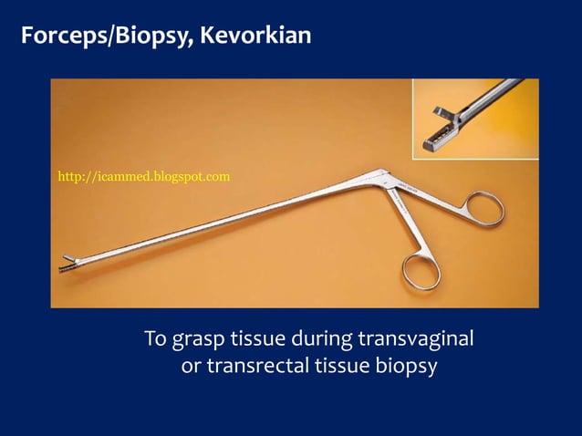 Surgical Instruments (forceps/grasping) | PPTX | Physical Therapy ...