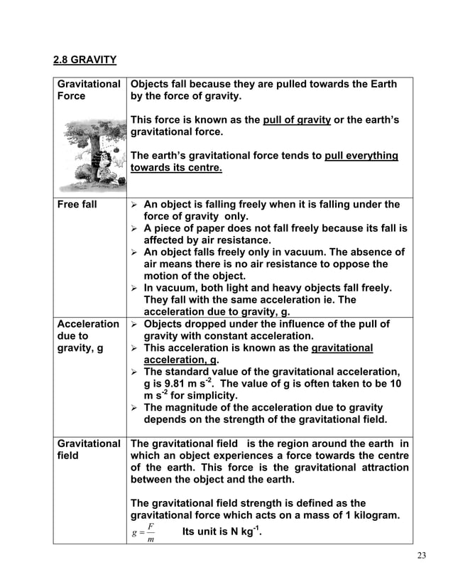 2 - Forces and Motion.pdf