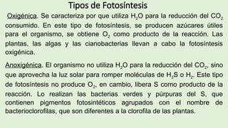 2-Fotosintesis y respiración de las plantas.pptx