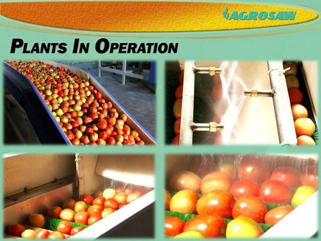 2. fruit & vegetable grading