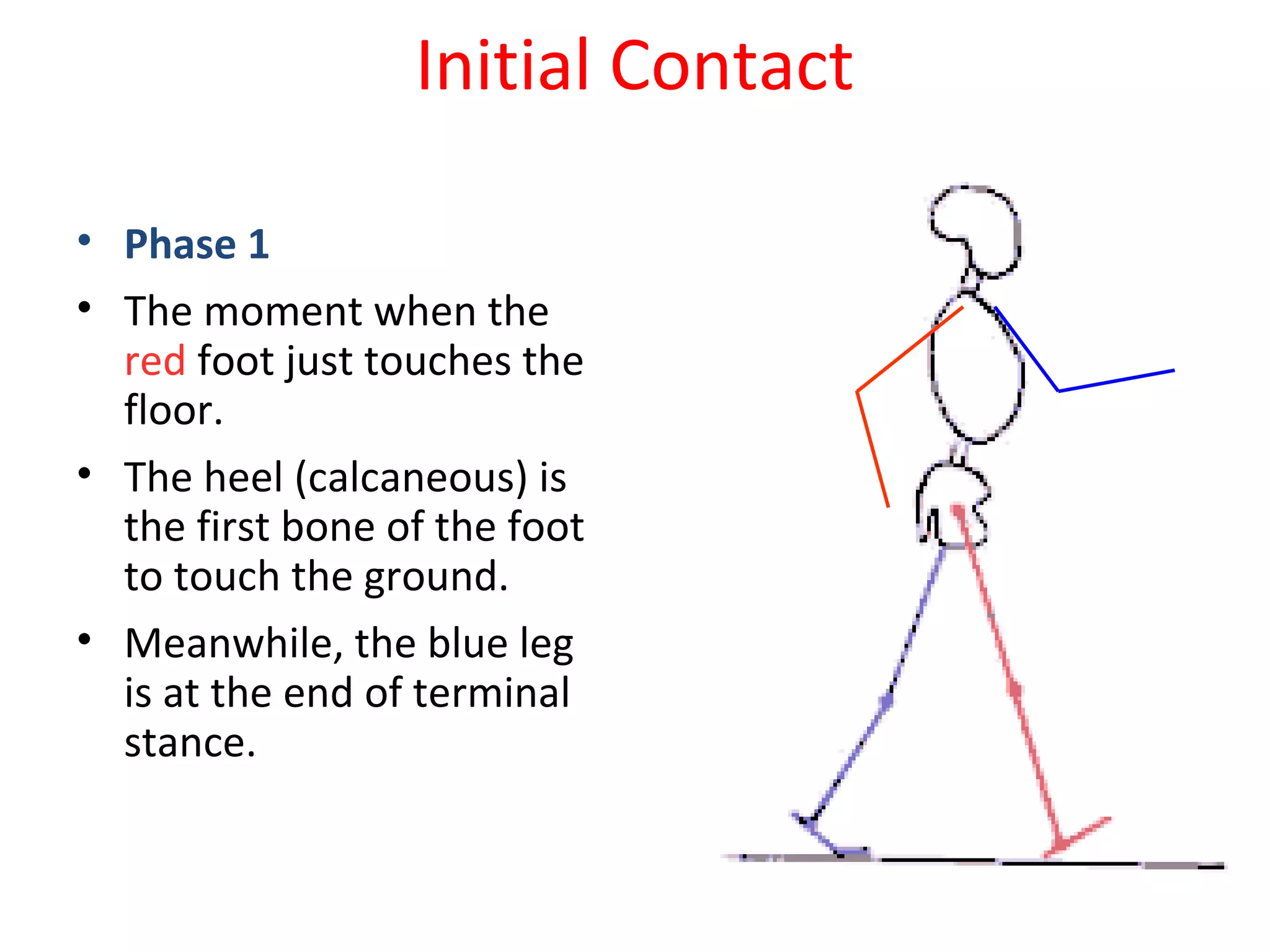 Gait analysis | PPT
