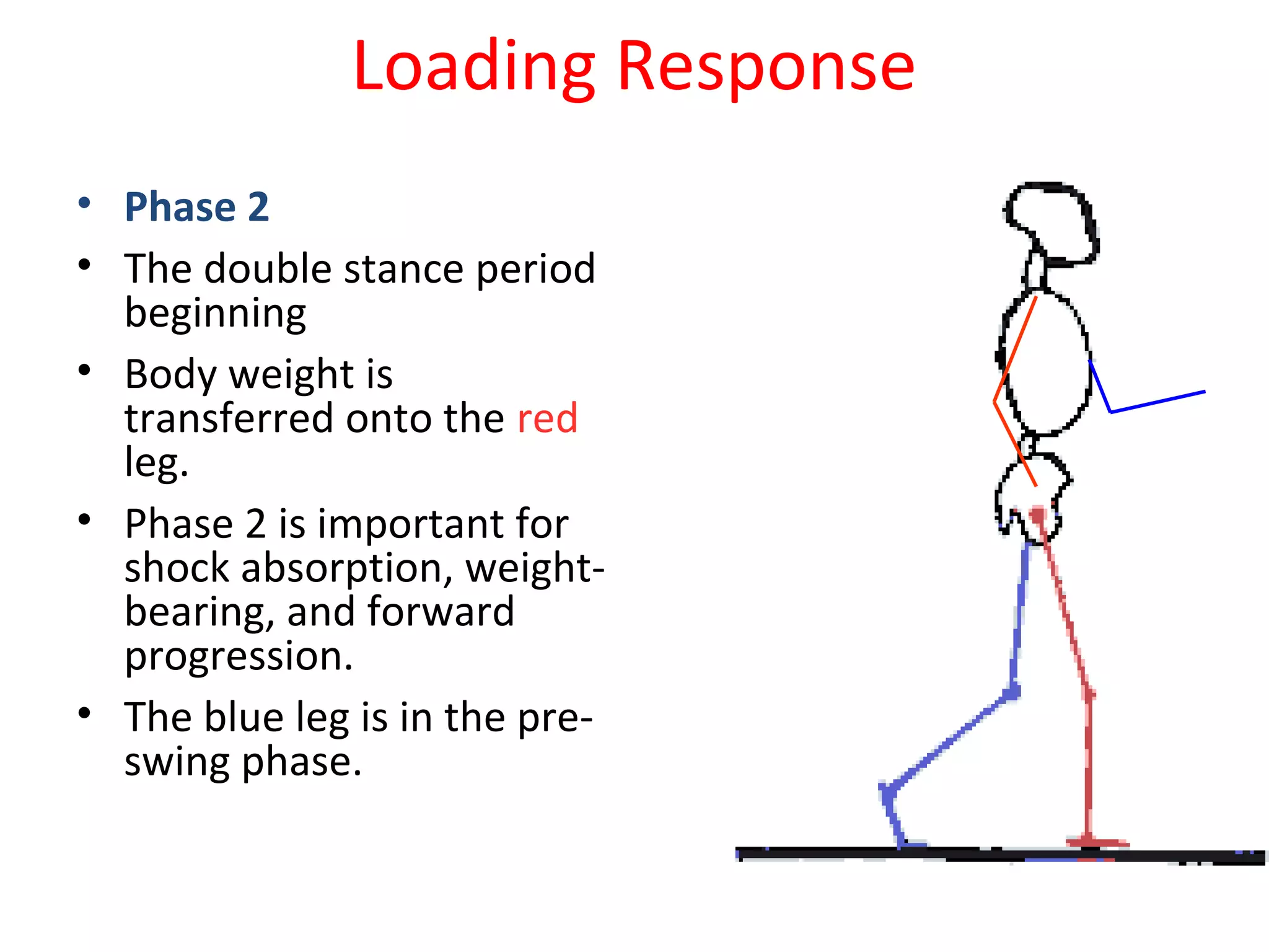 Gait analysis | PPT