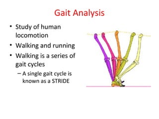 Gait analysis | PPT