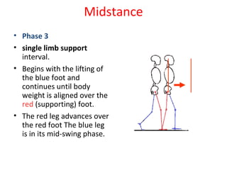Gait analysis | PPT