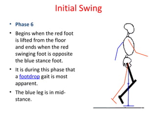 Gait analysis | PPT
