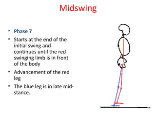 Gait analysis | PPT