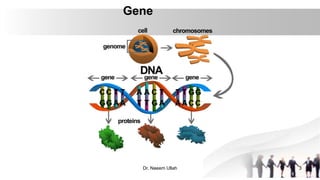 Gene- basics (Gene, nature of Gene, regulatory elements of Gene, Non ...