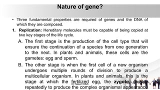 Gene- basics (Gene, nature of Gene, regulatory elements of Gene, Non ...