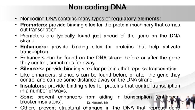 Gene- basics (Gene, nature of Gene, regulatory elements of Gene, Non ...