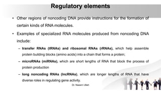 Gene- basics (Gene, nature of Gene, regulatory elements of Gene, Non ...