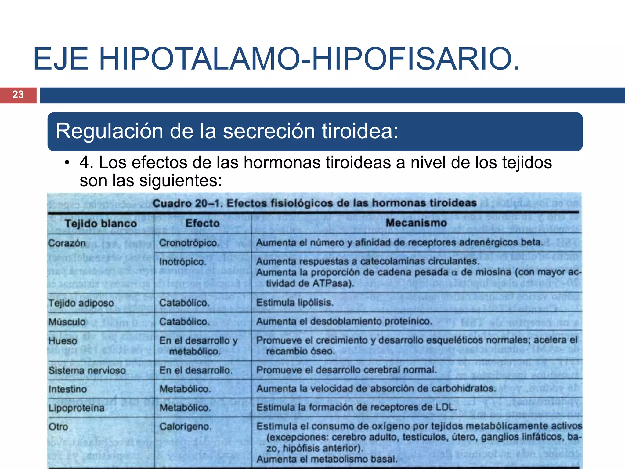 2.Generalidades del hipotalamo | PPTX