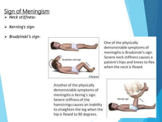 Part 2 general physical and mental examination | PPTX