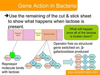 2. Genetic Control | PPT