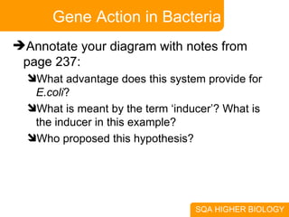 2. Genetic Control | PPT