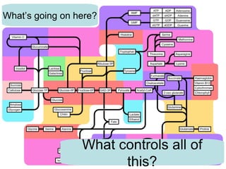 2. Genetic Control | PPT
