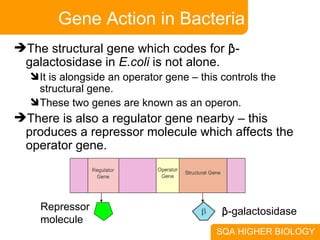 2. Genetic Control | PPT